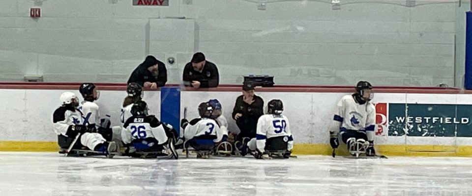 Sledge Hockey Bench